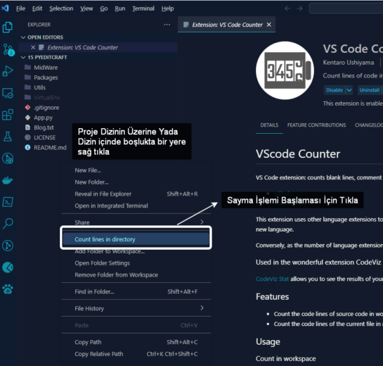Visual Studio Code Tutorial VS Code Counter Extension Nedir ve Nasıl ...